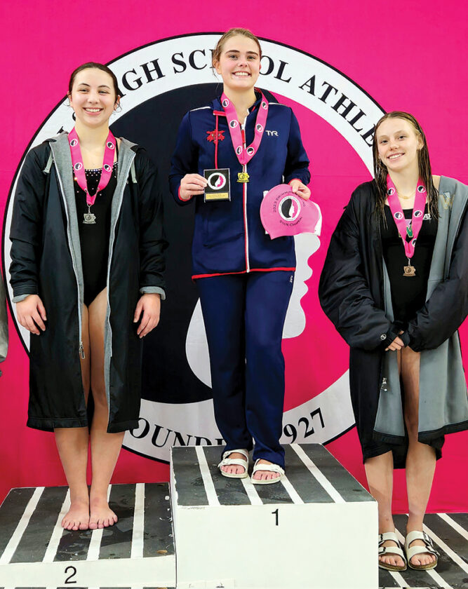 Tollefson rises to state diving title | News, Sports, Jobs - Times ...